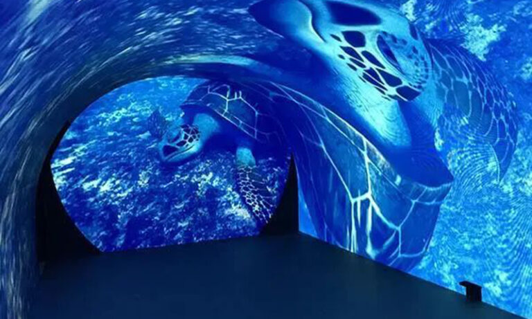 What is a Tunnel LED Screen & Price?